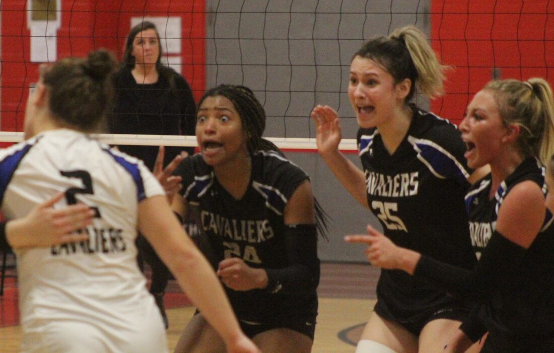 Locals named to NHVCA Division I, II All-State teams | News, Sports ...